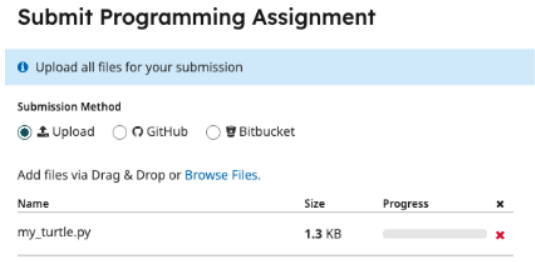 PA01 Turtles | CS 1112 S25